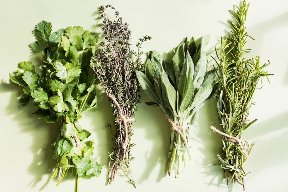 Garden Refresh Kits